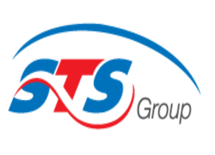 Real Survey Inspection - STS Group